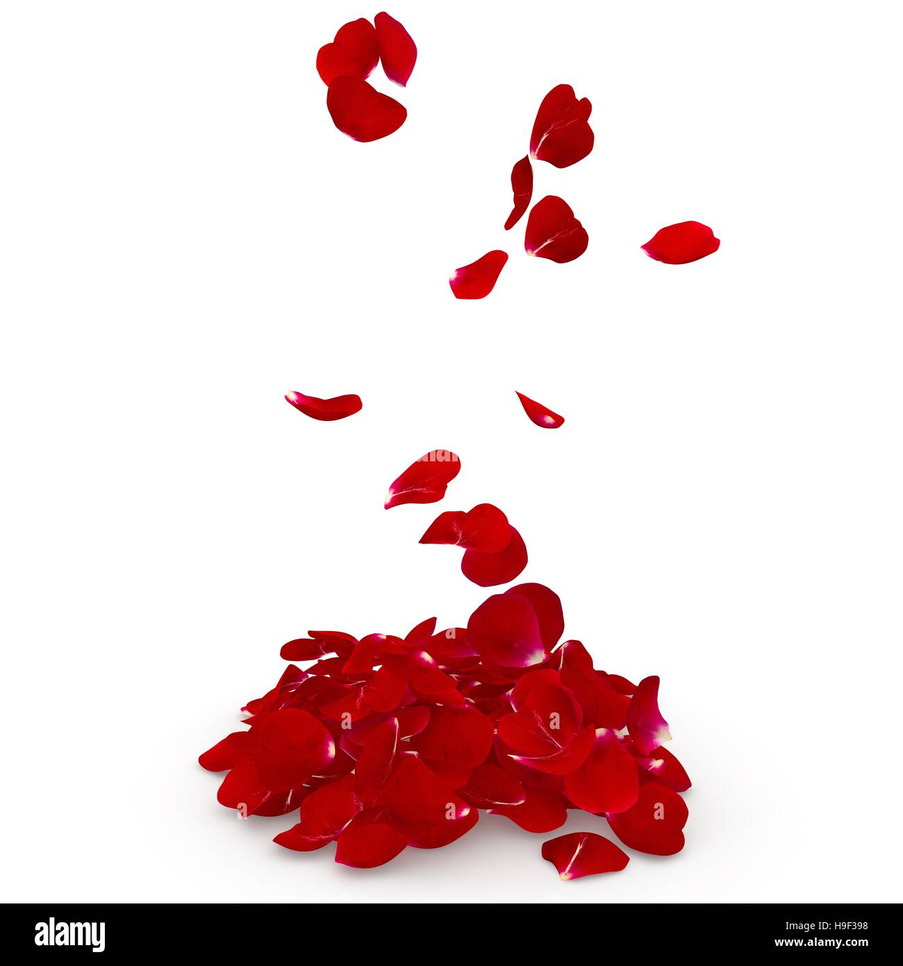 Petals dark red rose flying on the floor. Isolated background. 3D render Stock Photo - Alamy