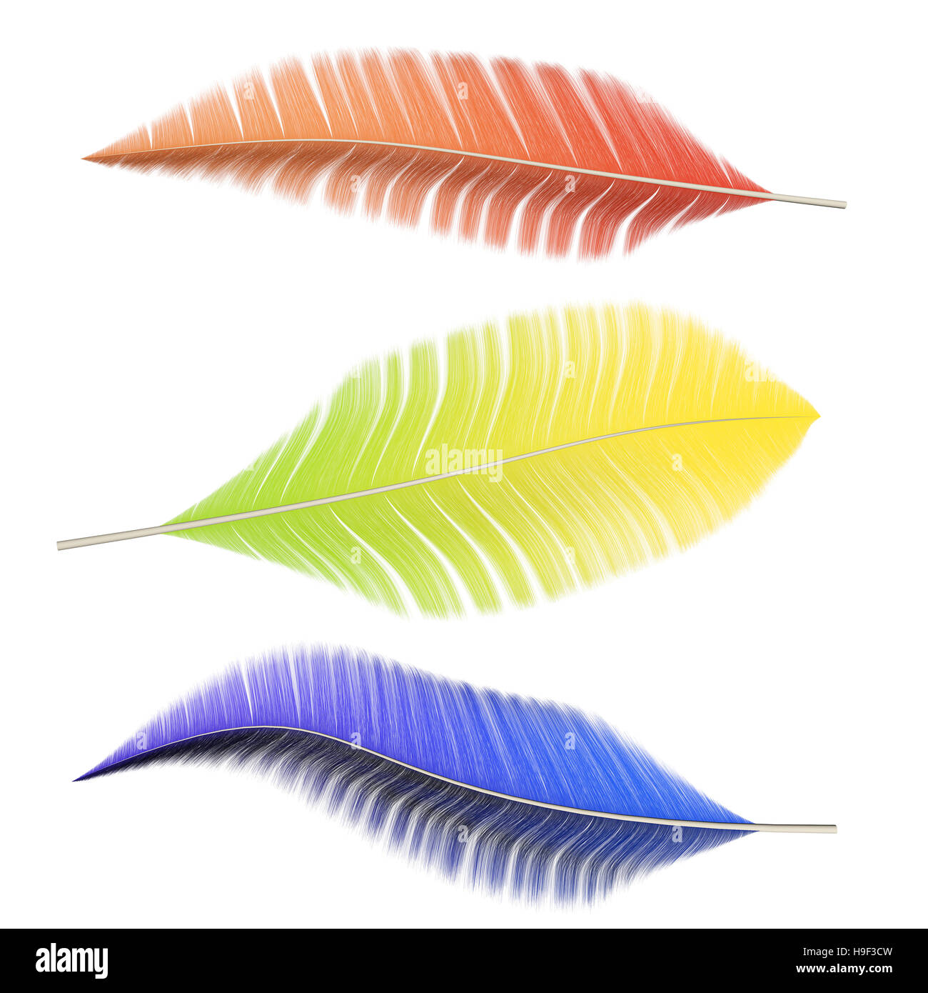 A collection of colored feathers isolated on white background Stock ...