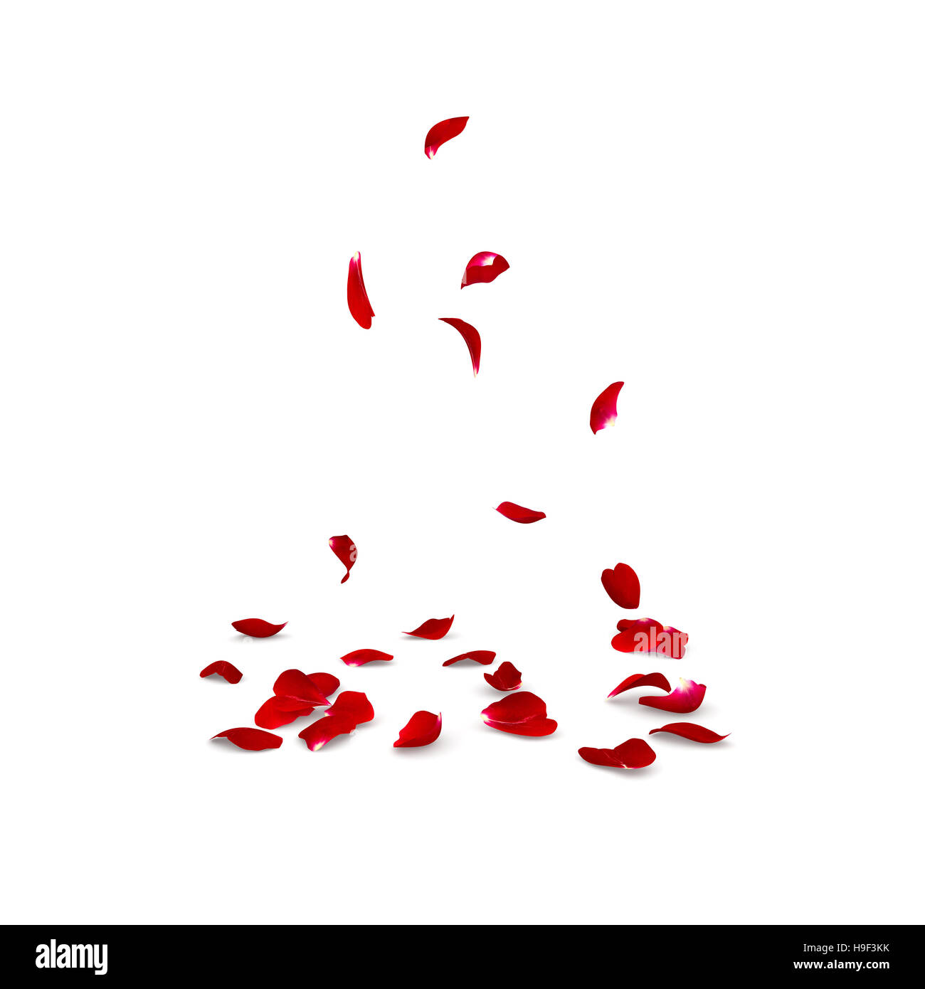 Illustration, rose falling petals hi-res stock photography and images ...