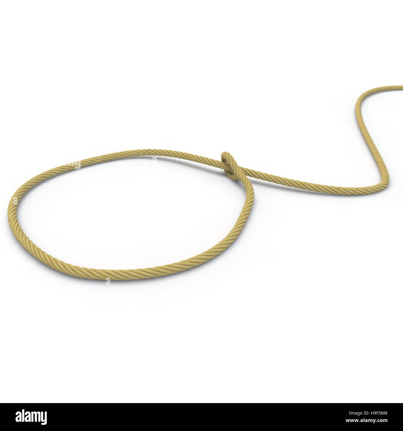 A rope with a noose lying on the floor on an isolated white background ...