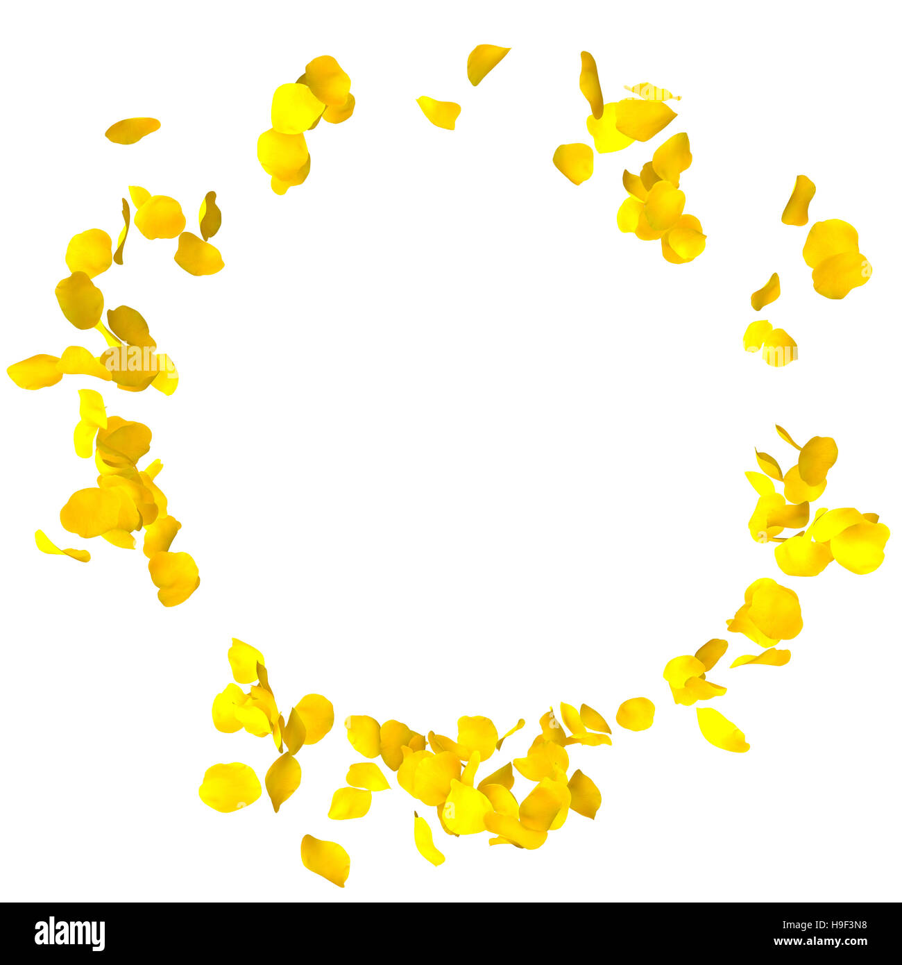 Yellow Rose Petals Background
