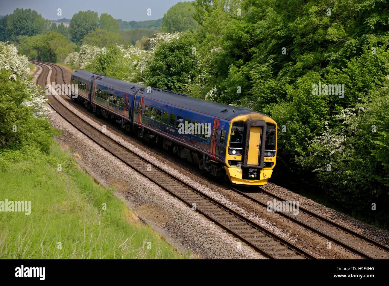 158 High Resolution Stock Photography and Images - Alamy