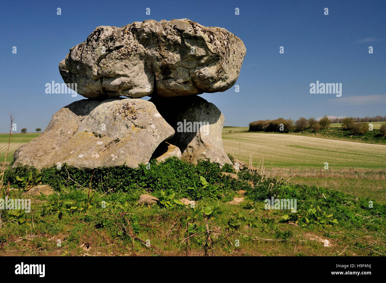 The Devil's Den, the remains of a neolithic burial chamber (or dolmen ...