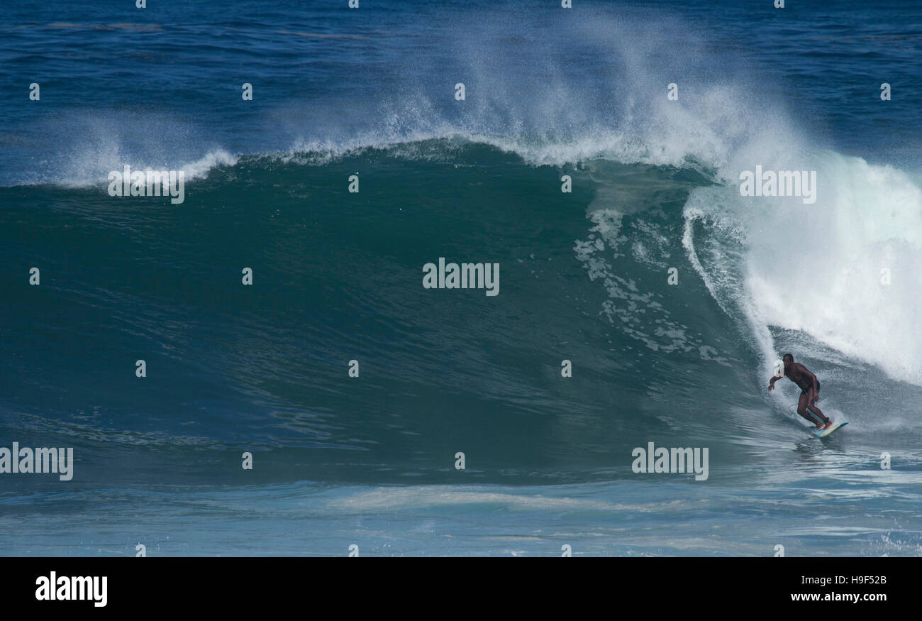 Ready for a nice ride Stock Photo - Alamy