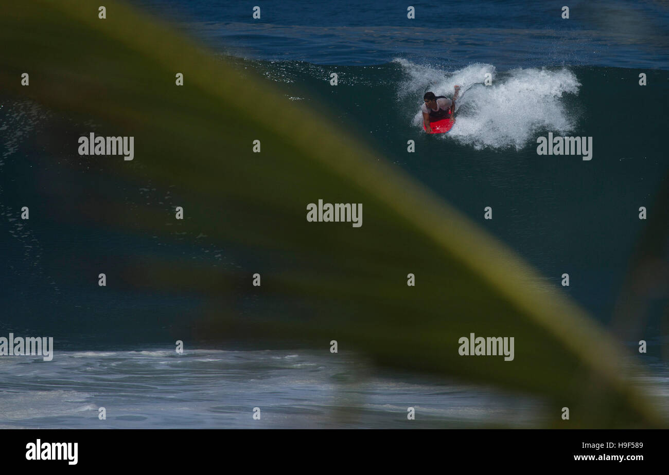 Wave leaf hi-res stock photography and images - Alamy