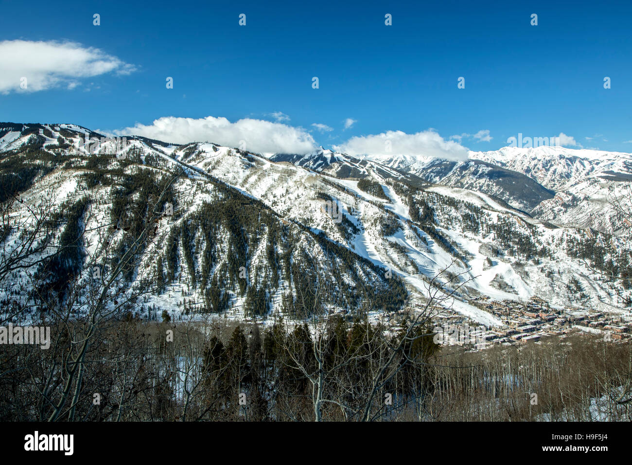 Aspen colorado winter snow trees hi-res stock photography and images ...