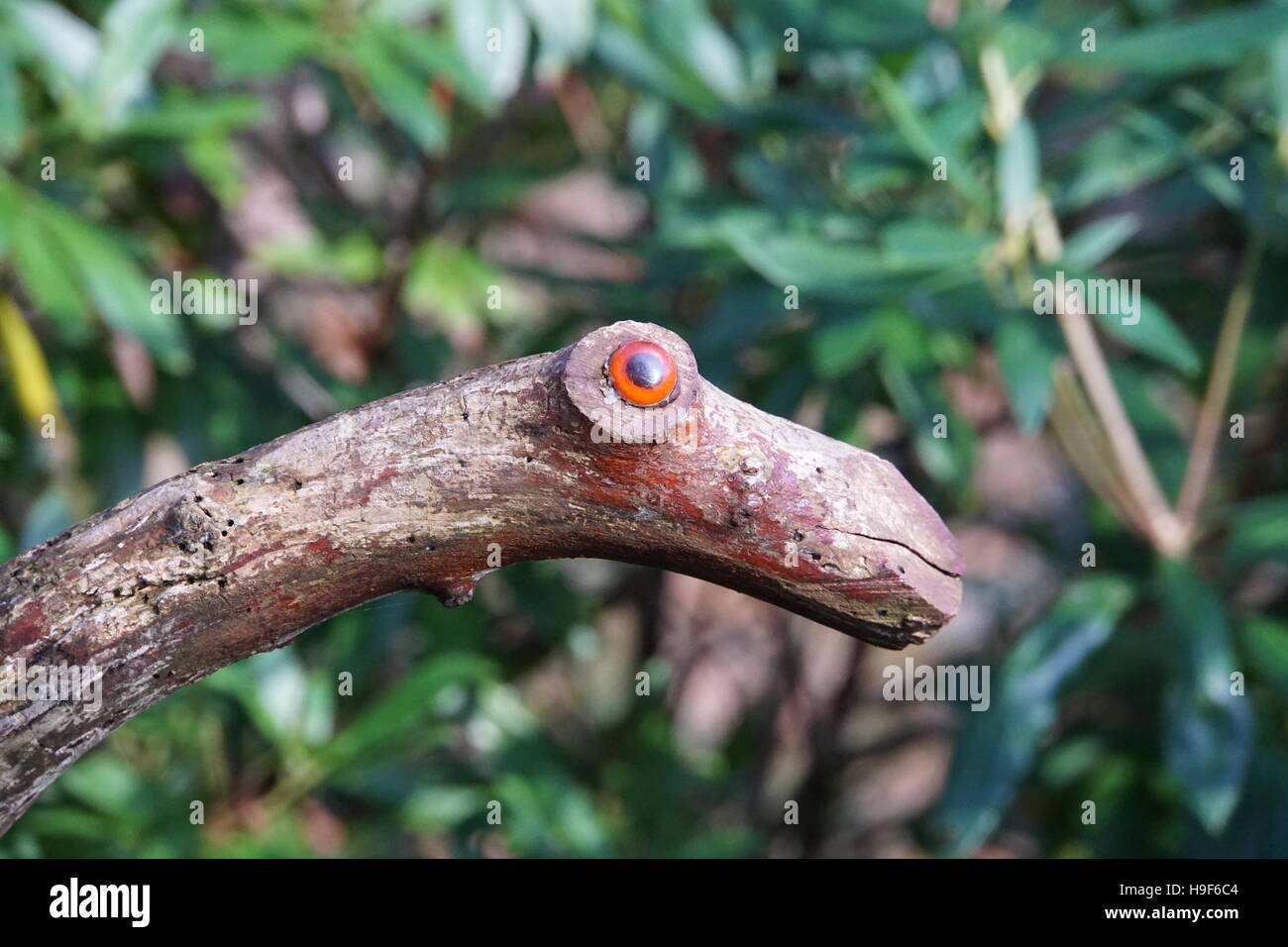 Wooden snake hi-res stock photography and images - Alamy