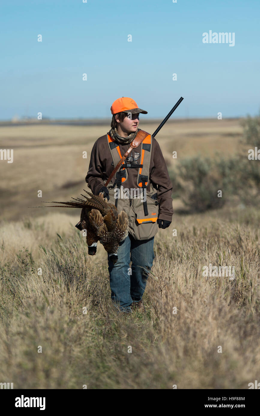 A pheasant hunter in North Dakota Stock Photo - Alamy