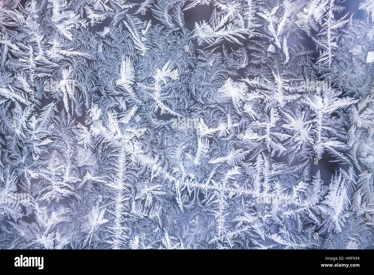 Abstract winter pattern on frosted window as Christmas background Stock ...