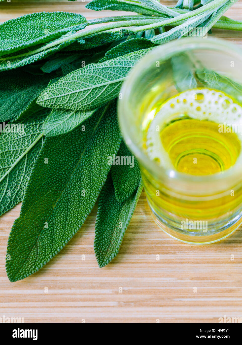 Sage green paper hi-res stock photography and images - Alamy