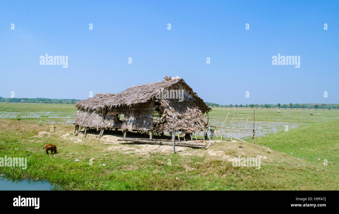 Burma farm hut hi-res stock photography and images - Alamy