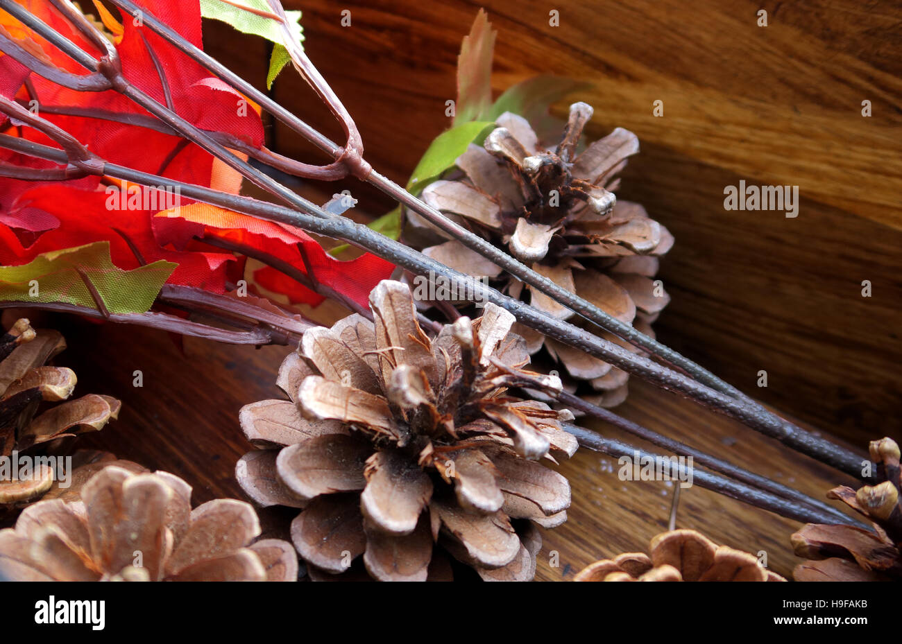 old twigs and pine cones Stock Photo - Alamy