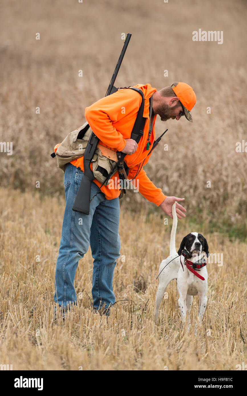 A hunter with an English Pointer Stock Photo - Alamy