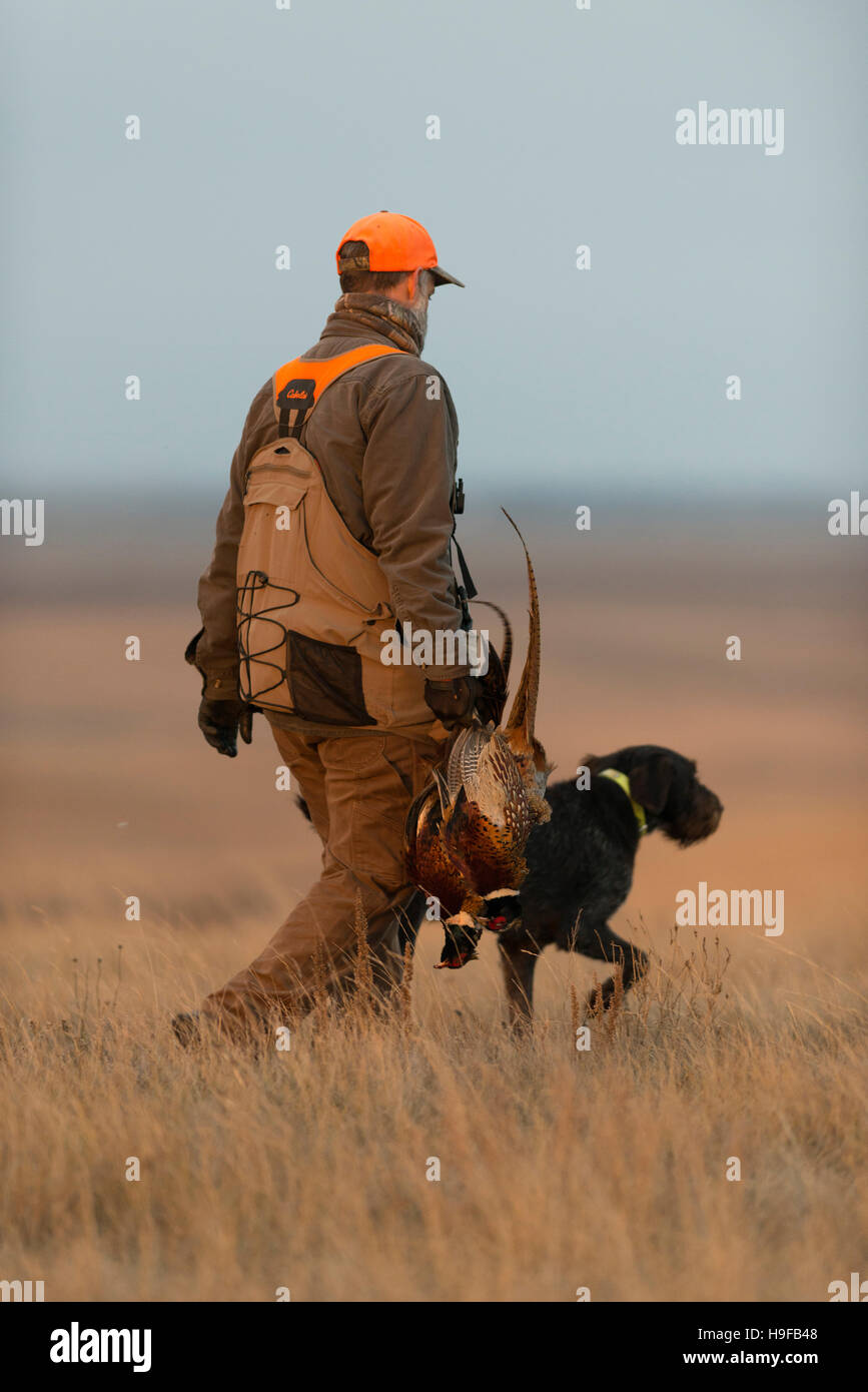 A pheasant hunter and his dog Stock Photo - Alamy