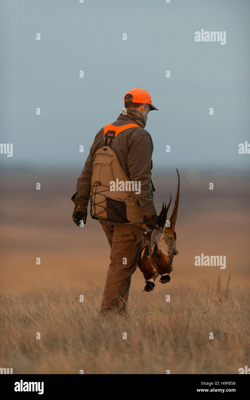 A pheasant hunter in North Dakota Stock Photo - Alamy