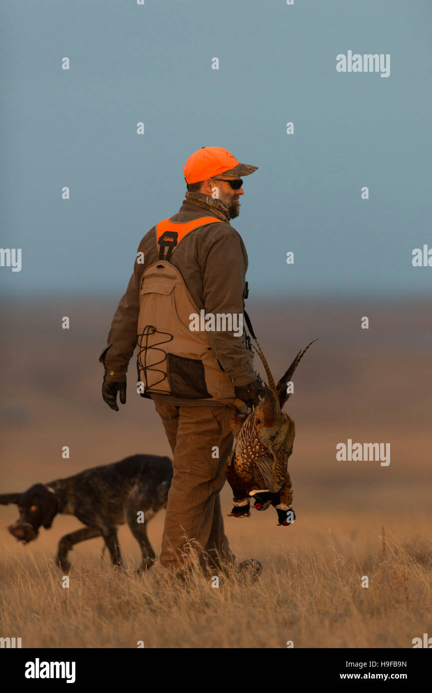 A pheasant hunter and his dog Stock Photo - Alamy