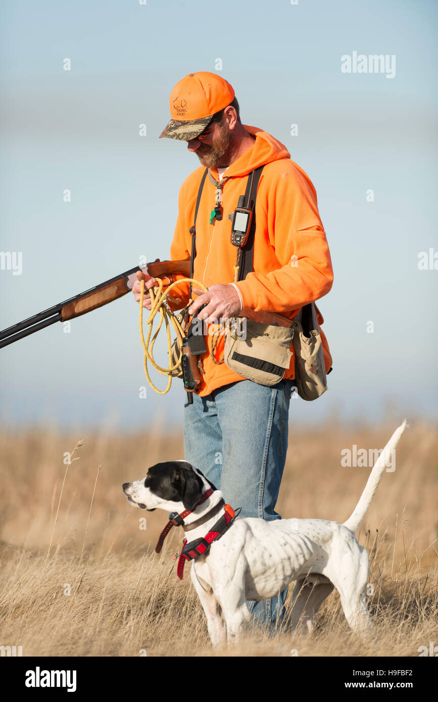 Prairie pointer hi-res stock photography and images - Alamy