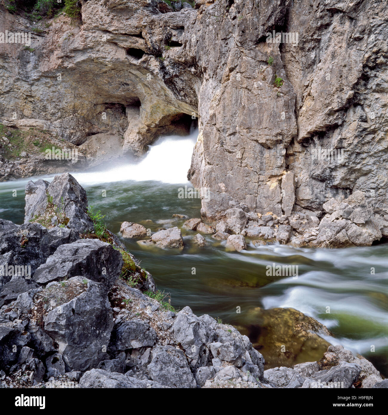 boulder river emerging from a subterranean cavern at natural bridge ...