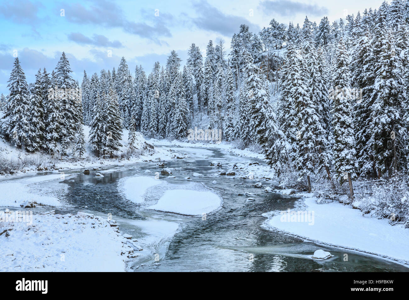 Winter landscape of lamar valley hi-res stock photography and images ...