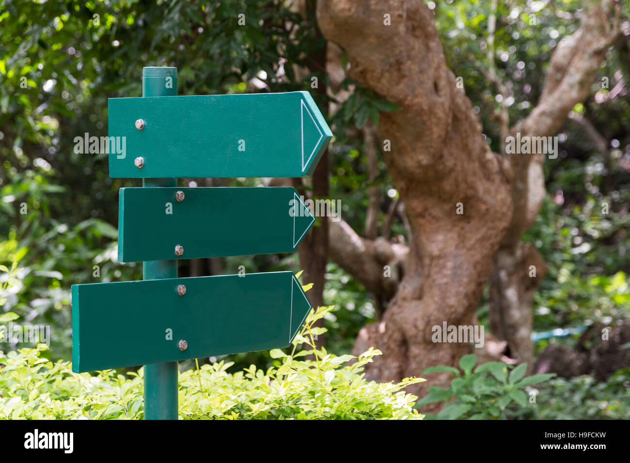 Green direction signs in the Park Stock Photo - Alamy