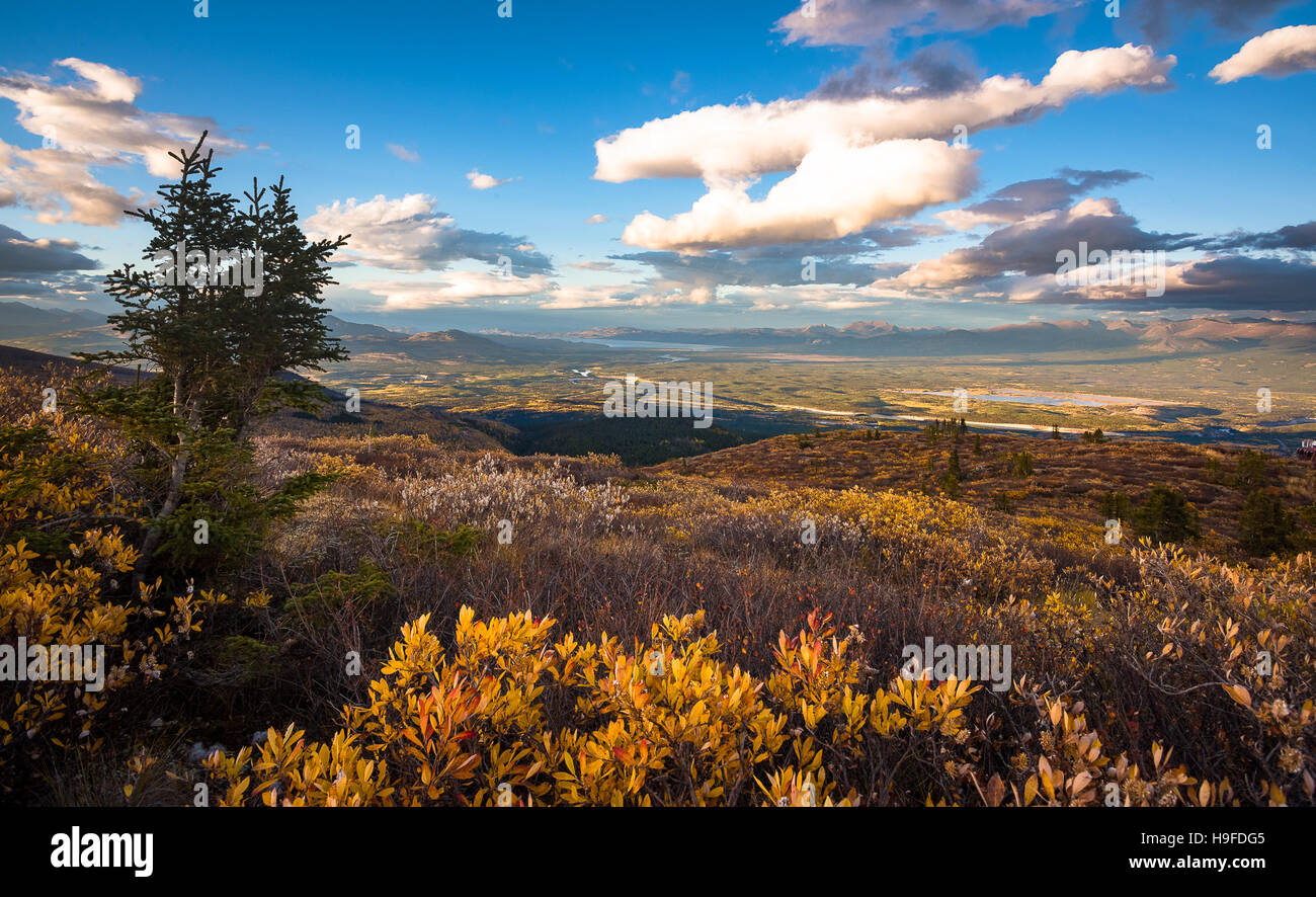 Tundra in fall colours hi-res stock photography and images - Alamy