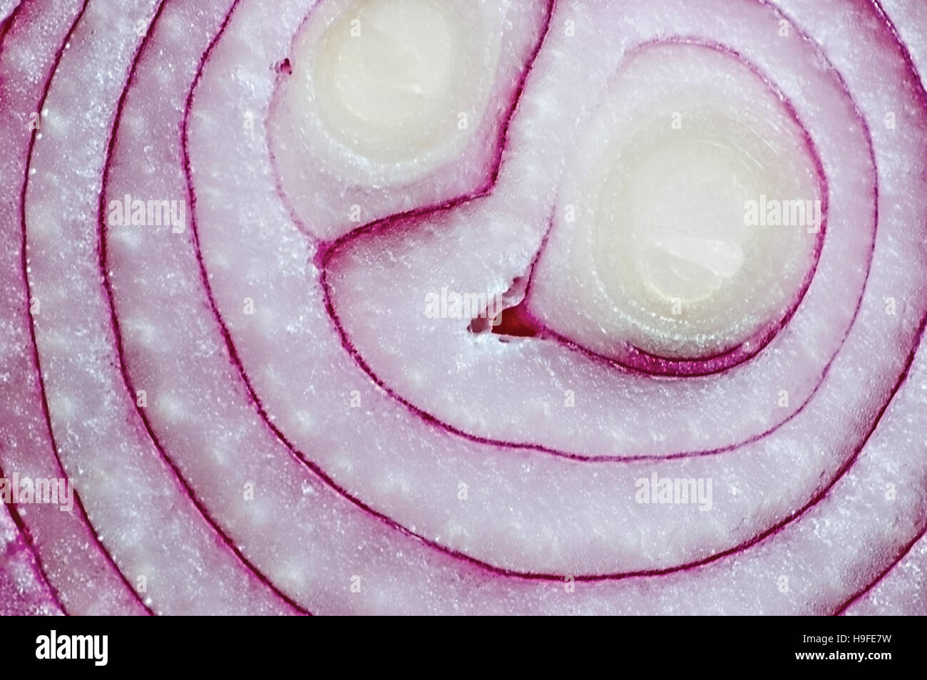 Red onion slice cut texture pattern flat lay, large detailed horizontal ...