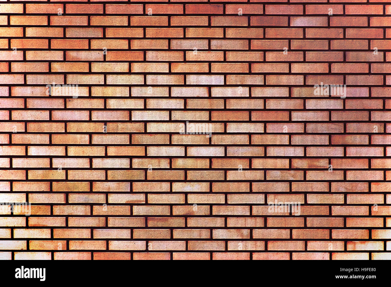 Red yellow beige tan fine brick wall texture background, large detailed ...