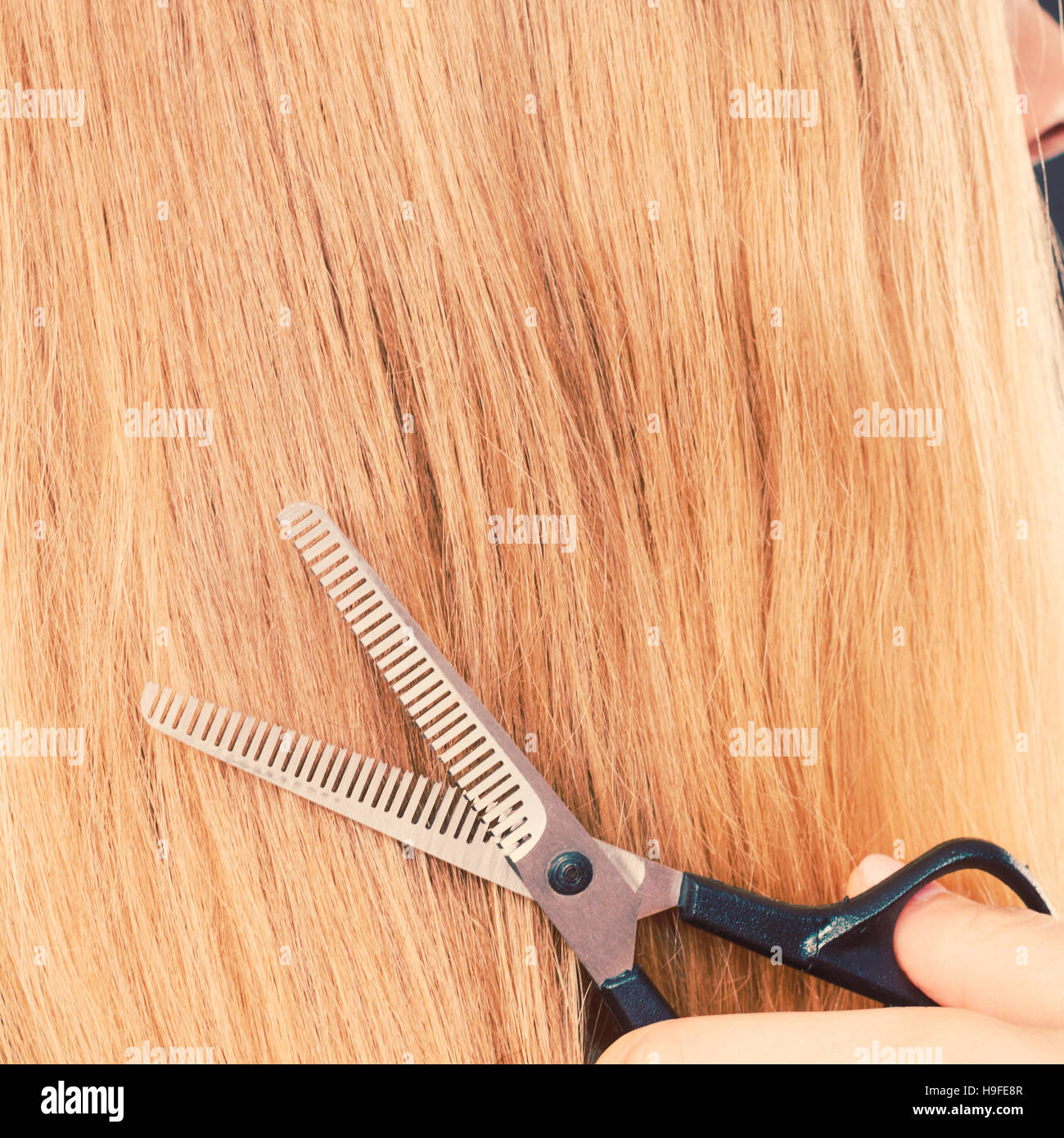 Professional cutting and barber shop. Close up of detail equipment ...