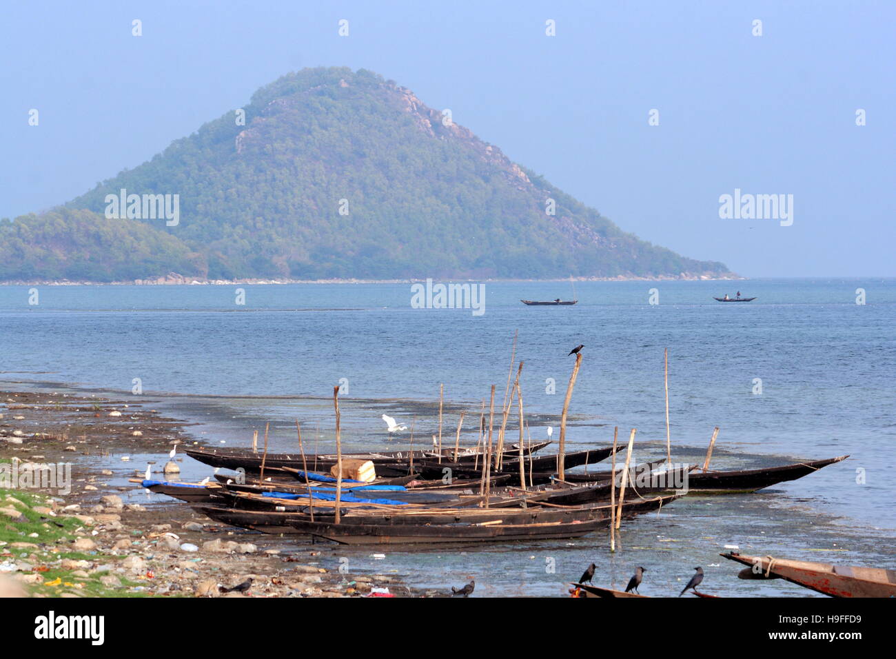 Chilika Lake, Odisha, India Stock Photo - Alamy