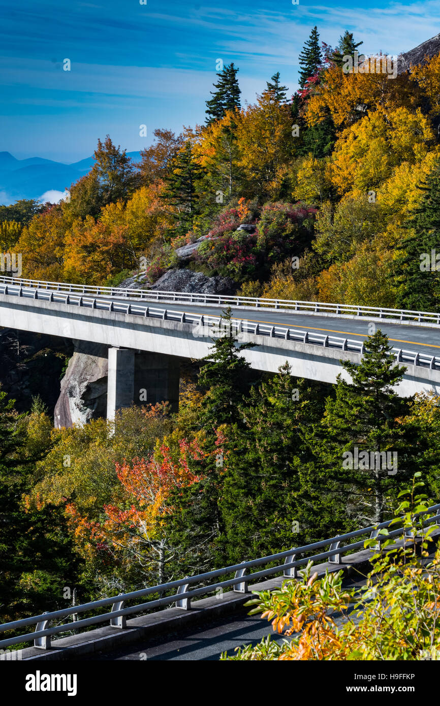 Fall Leaves Changing in the Curves of the Blue Ridge Parkway Stock ...
