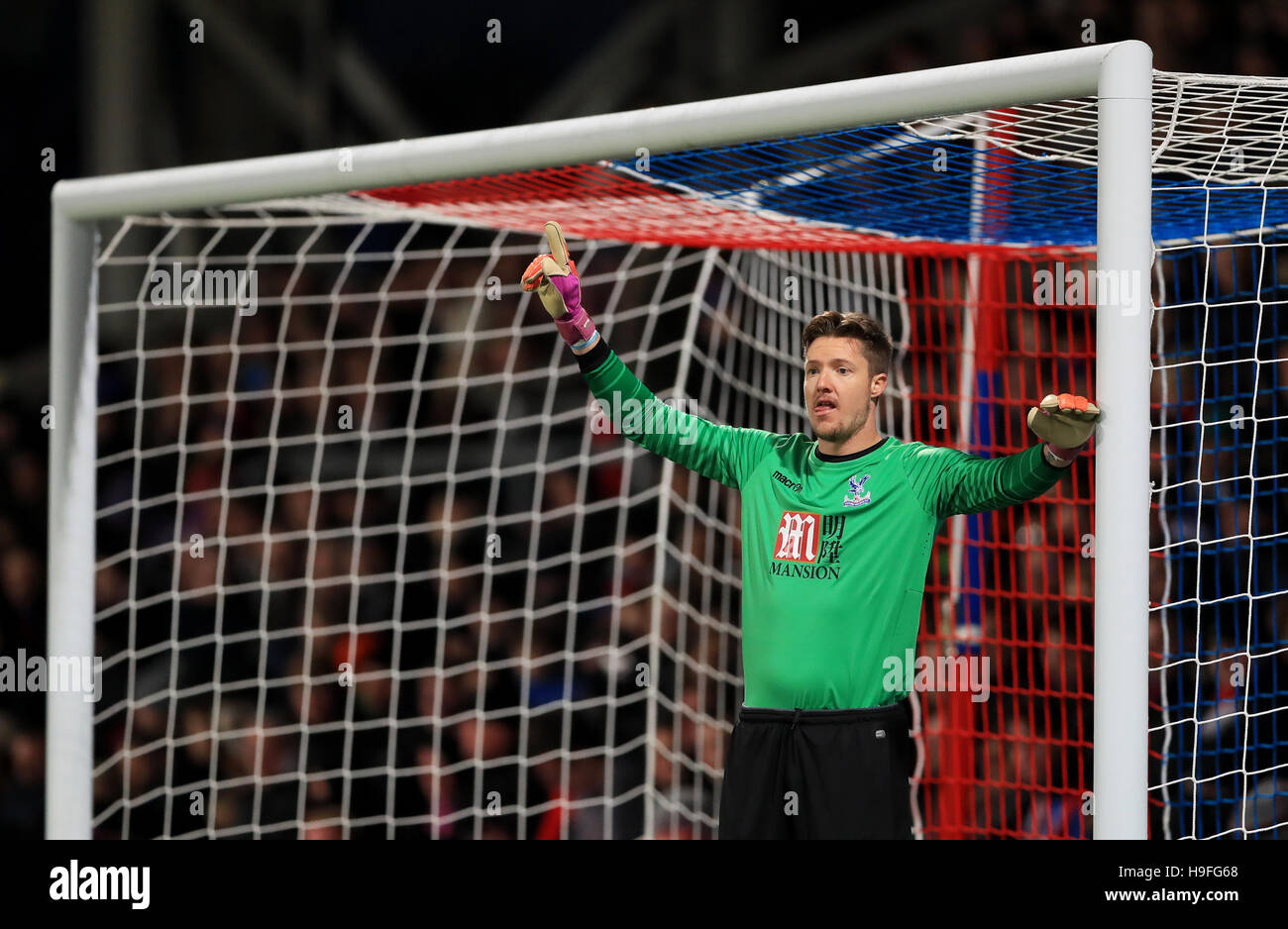 Crystal Palace goalkeeper Wayne Hennessey Stock Photo - Alamy