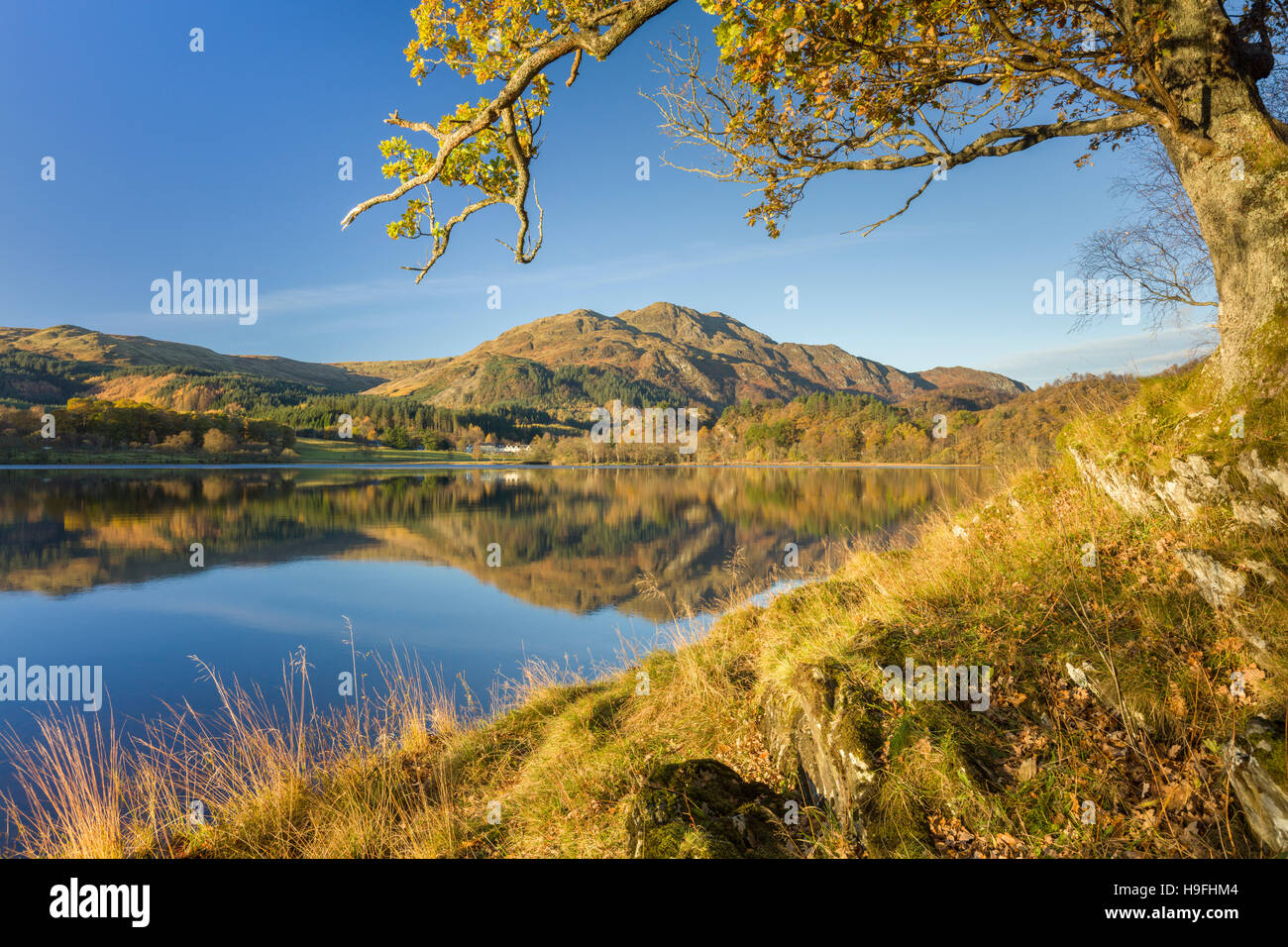 Ben Venue and Loch Achray Stock Photo - Alamy
