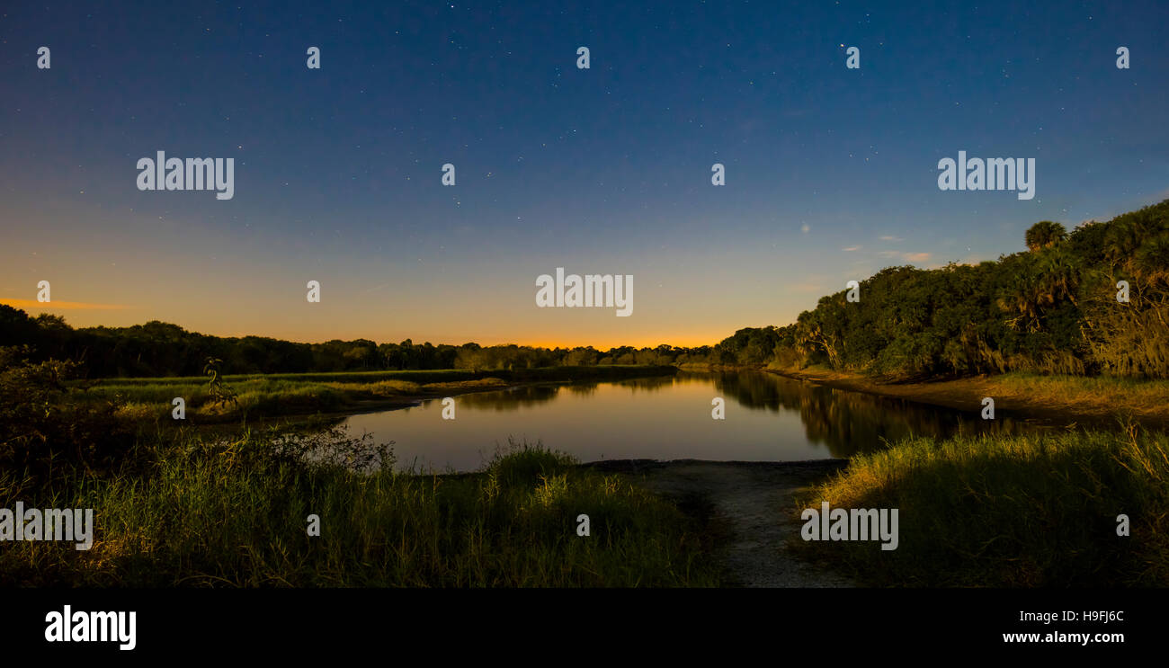 Night scenic view by moonlight in Myakka River State Park in Sarasota ...