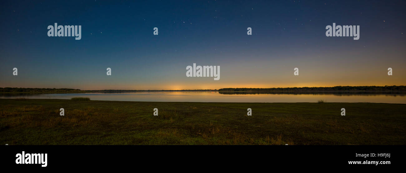 Night scenic view by moonlight in Myakka River State Park in Sarasota ...