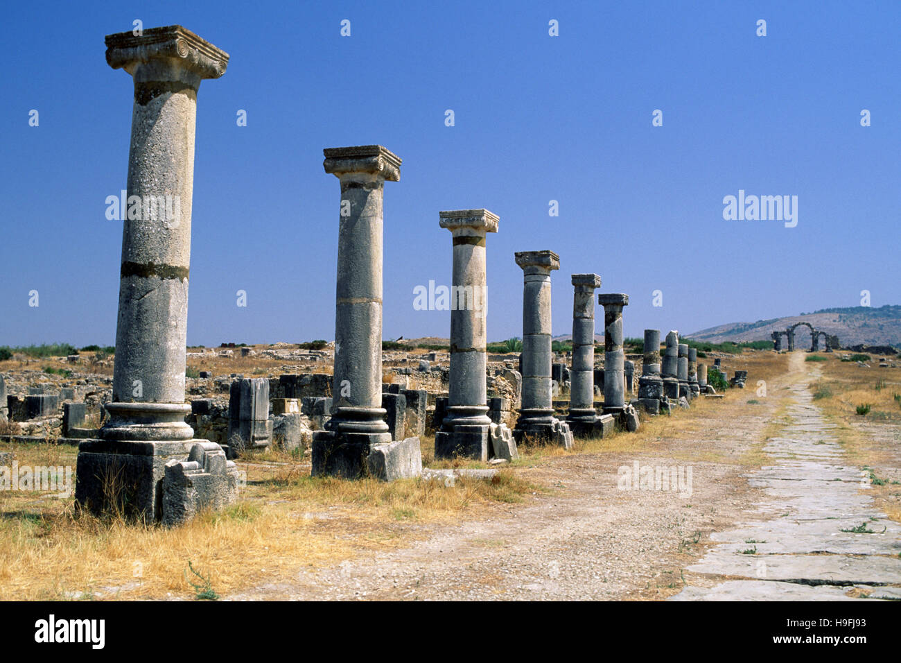 Morocco, Volubilis, ancient roman city, decumanus maximus, columns ...