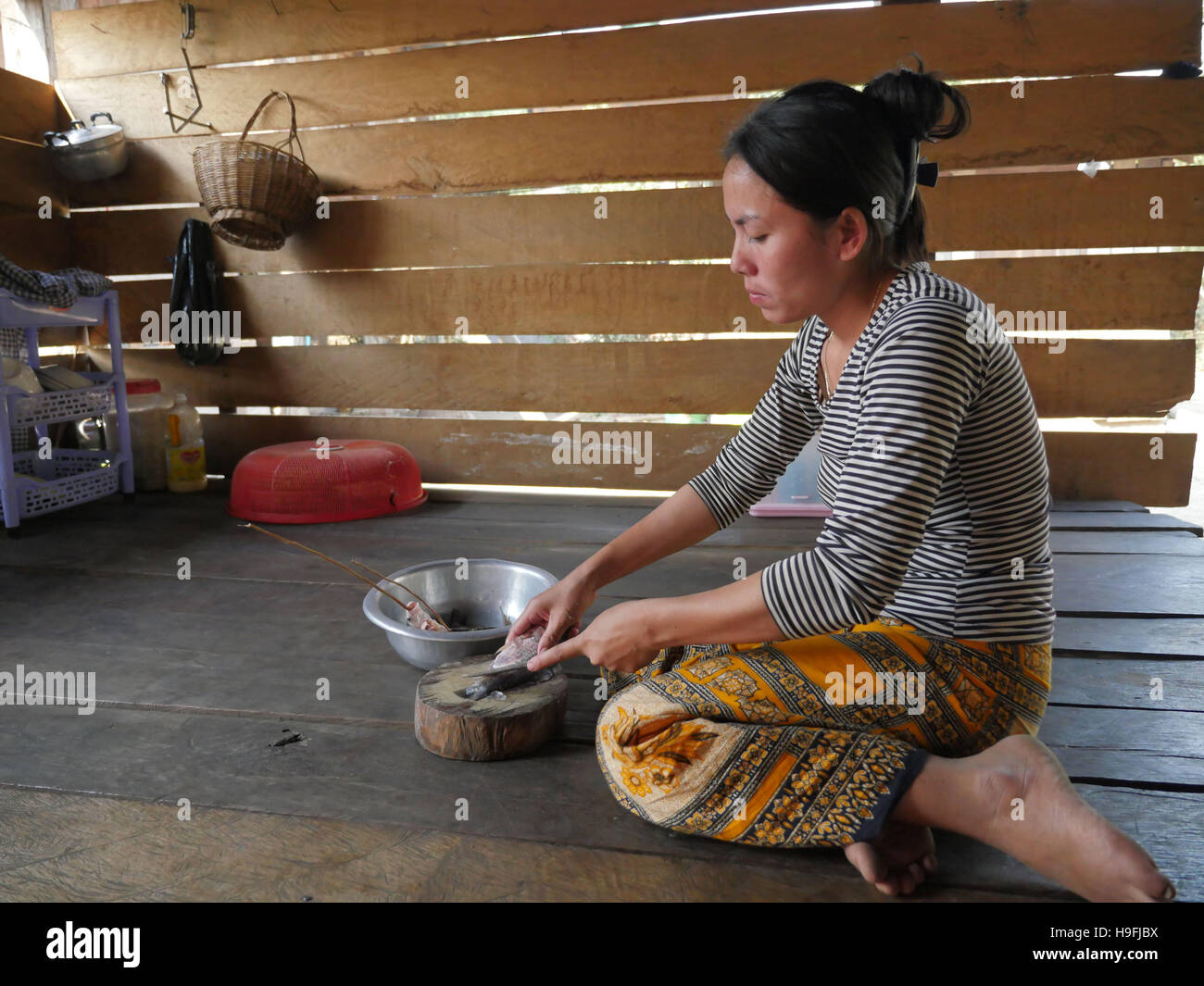 Cambodia, Stung Treng. Woman preparing fish to cook. Sean Sprague photo ...
