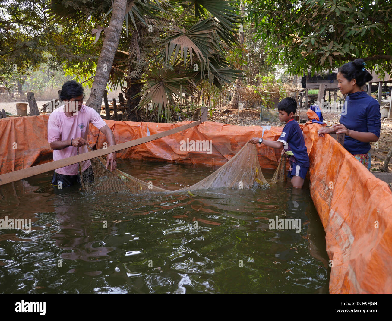 Cambodia, Stung Treng. Small fish pond at house in a village ...