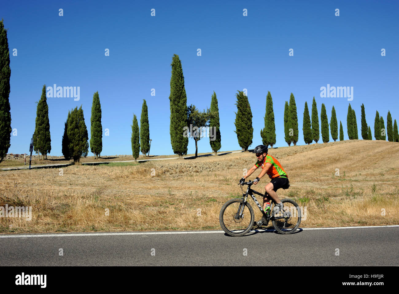 Cycling road trees hi-res stock photography and images - Alamy