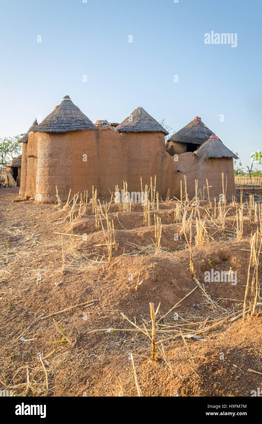 Traditional mud an clay housing of the Tata Somba tribe of nothern ...
