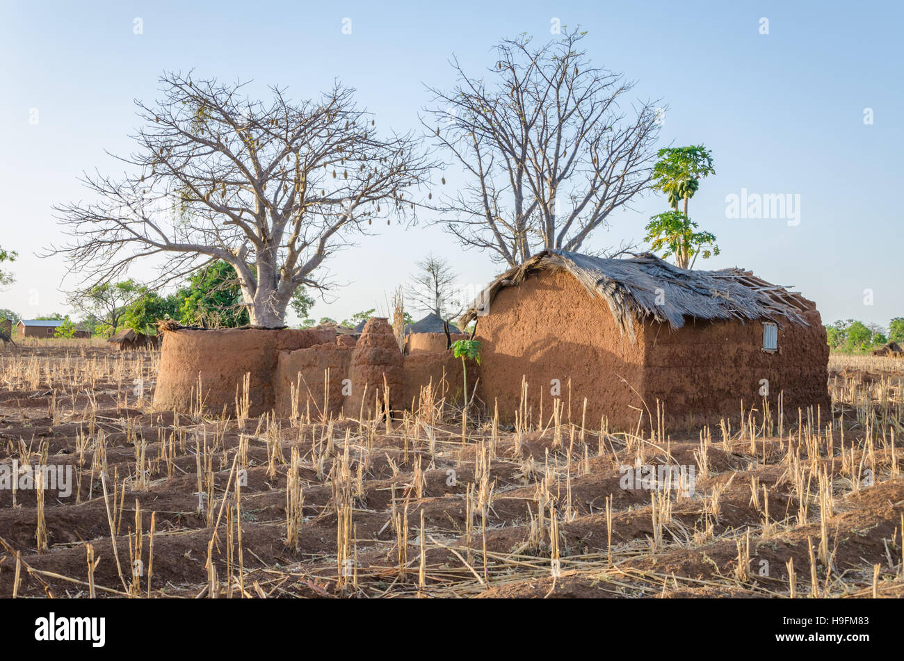 Traditional mud an clay housing of the Tata Somba tribe of nothern ...