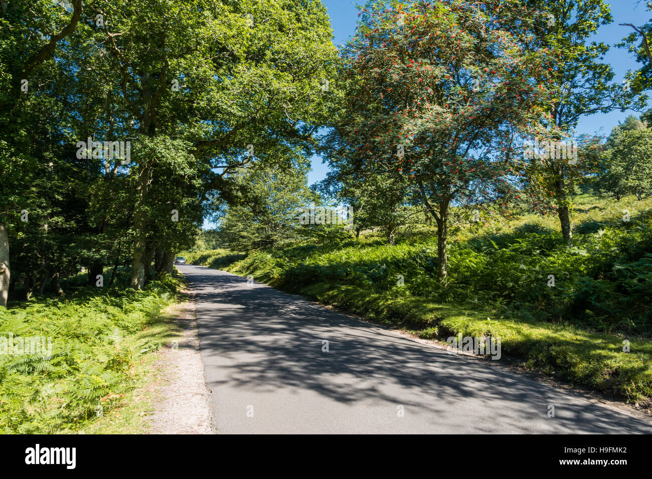 Phtotgraphs hi-res stock photography and images - Alamy