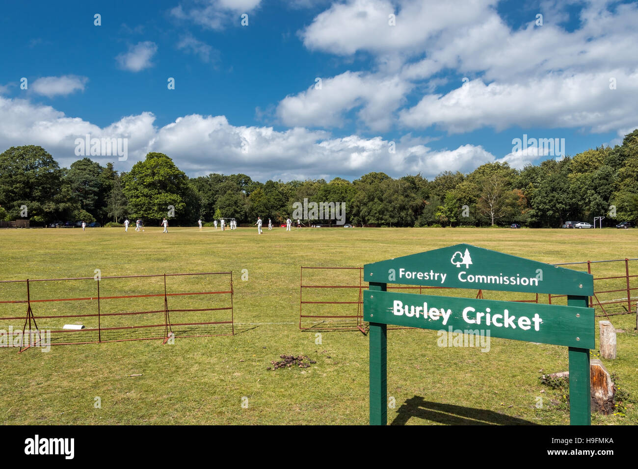 Burley Cricket ground in New Forest Stock Photo - Alamy