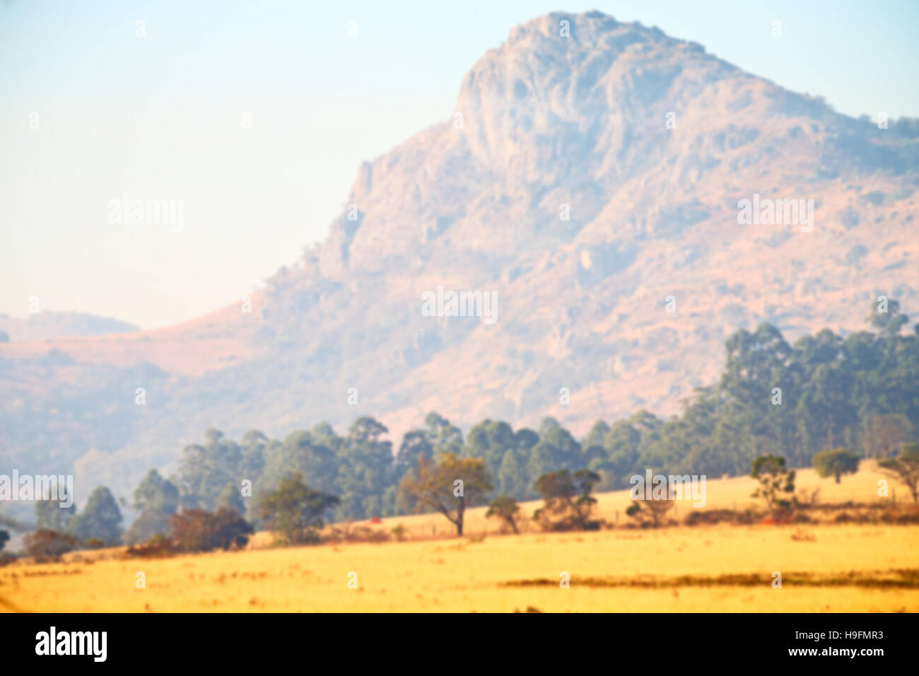 blur in swaziland mlilwane wildlife nature reserve mountain and tree ...