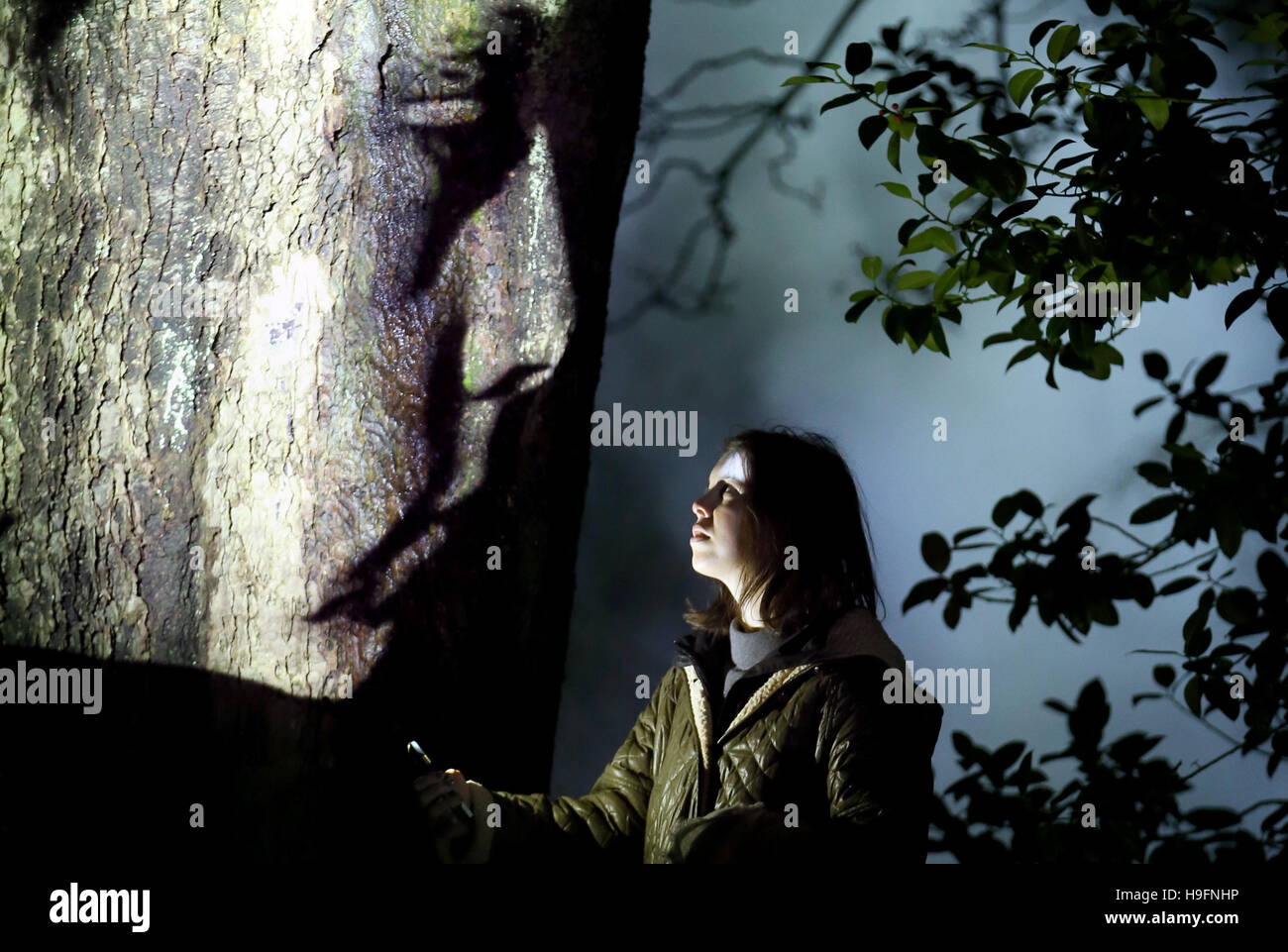 Light and mist transform Edinburgh's George Square Gardens with shadowy ...