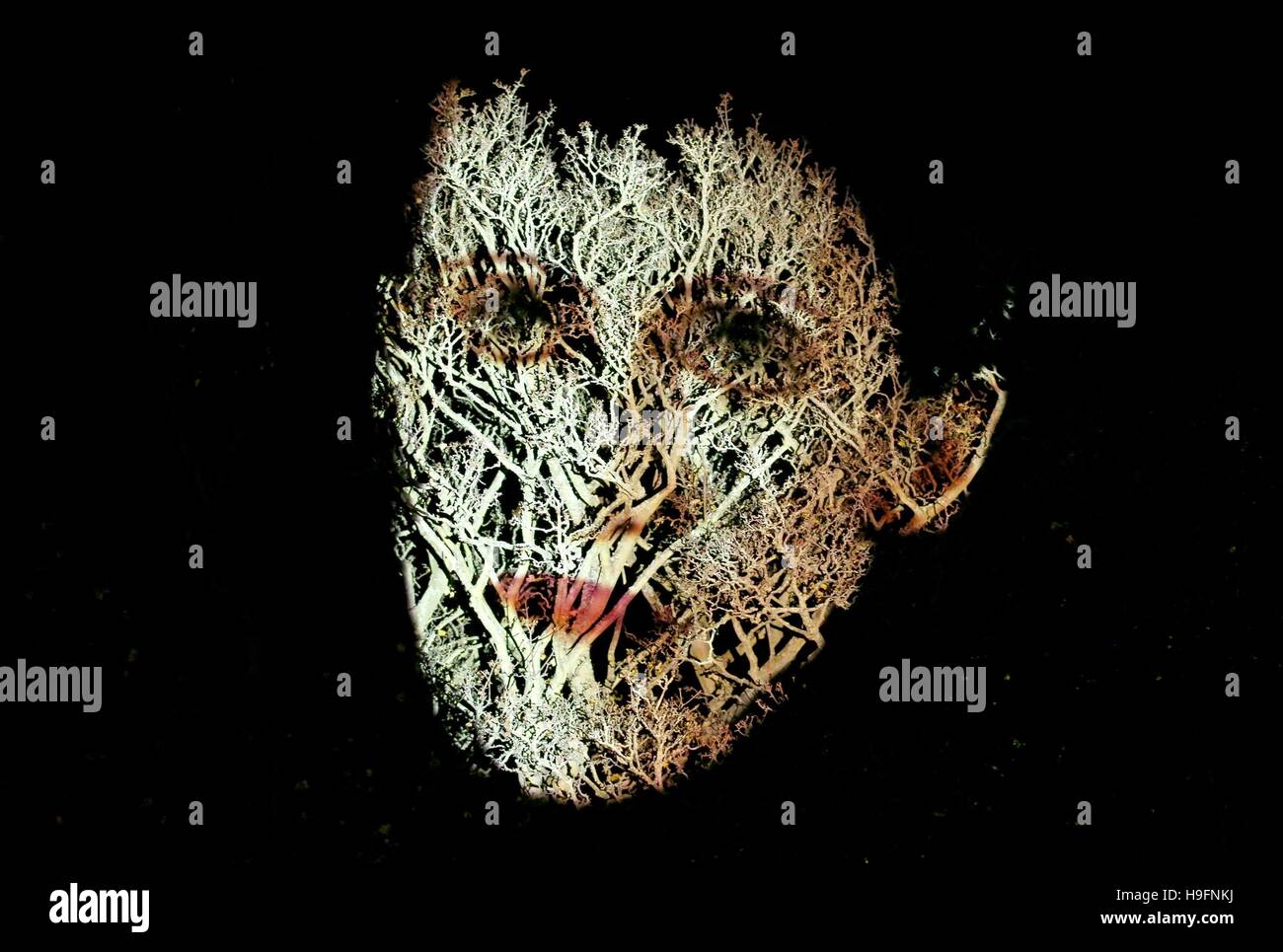 Mist transform edinburghs george square gardens hi-res stock ...