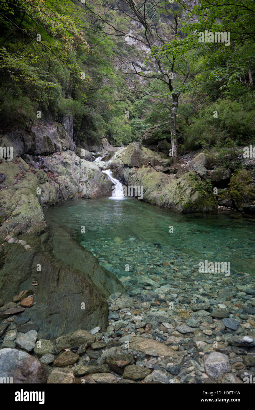 A natural pool formed in a river at Bai Shui Jiang, a nature reserve in ...