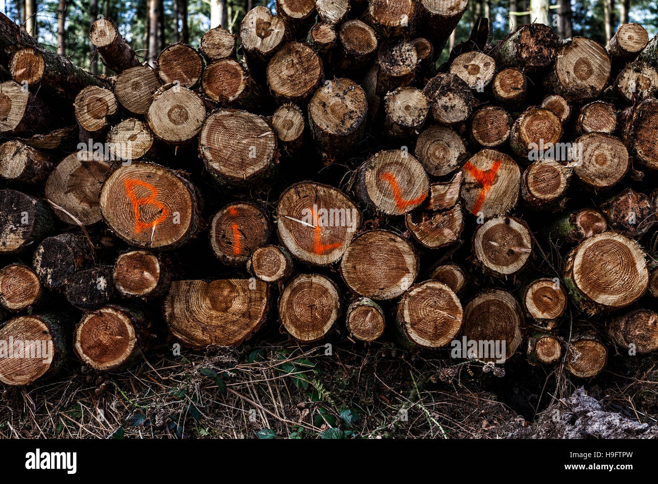 Delamere road hi-res stock photography and images - Alamy