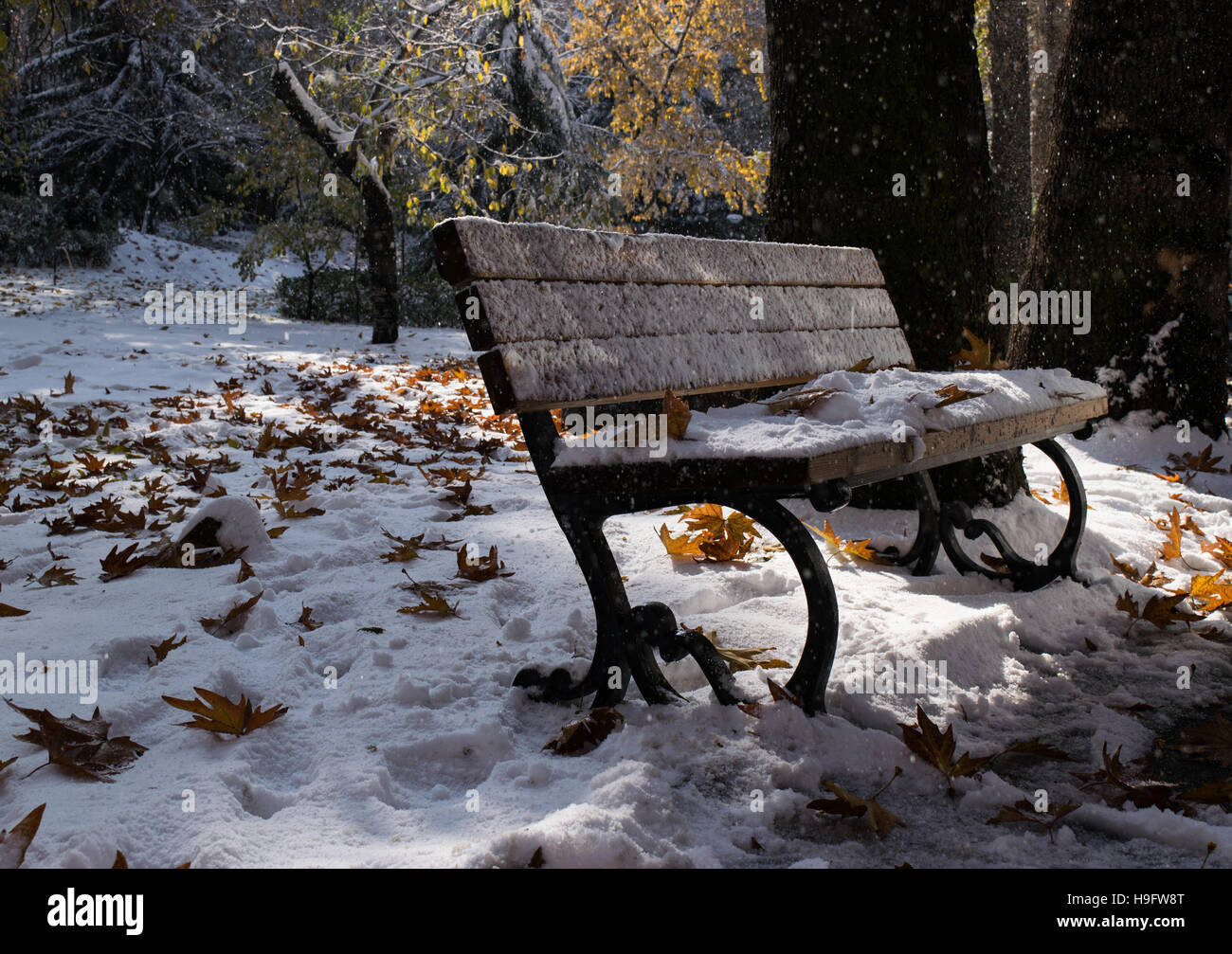 alone bench in snow Stock Photo - Alamy