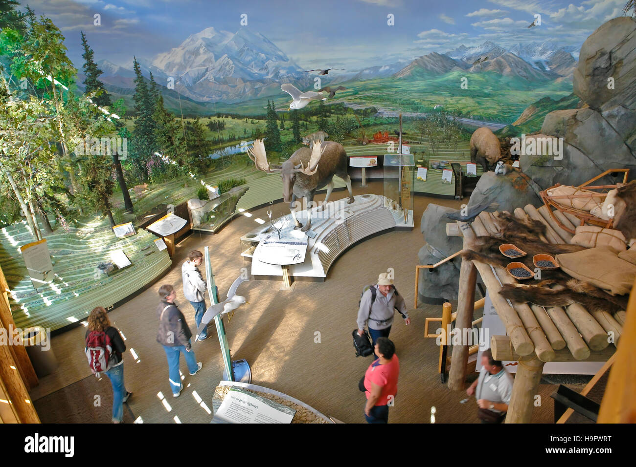 Environmental wildlife display at the museum at the University of ...