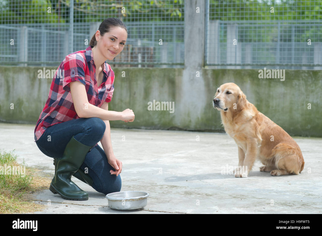 dedicated girl training dog in kennel Stock Photo - Alamy